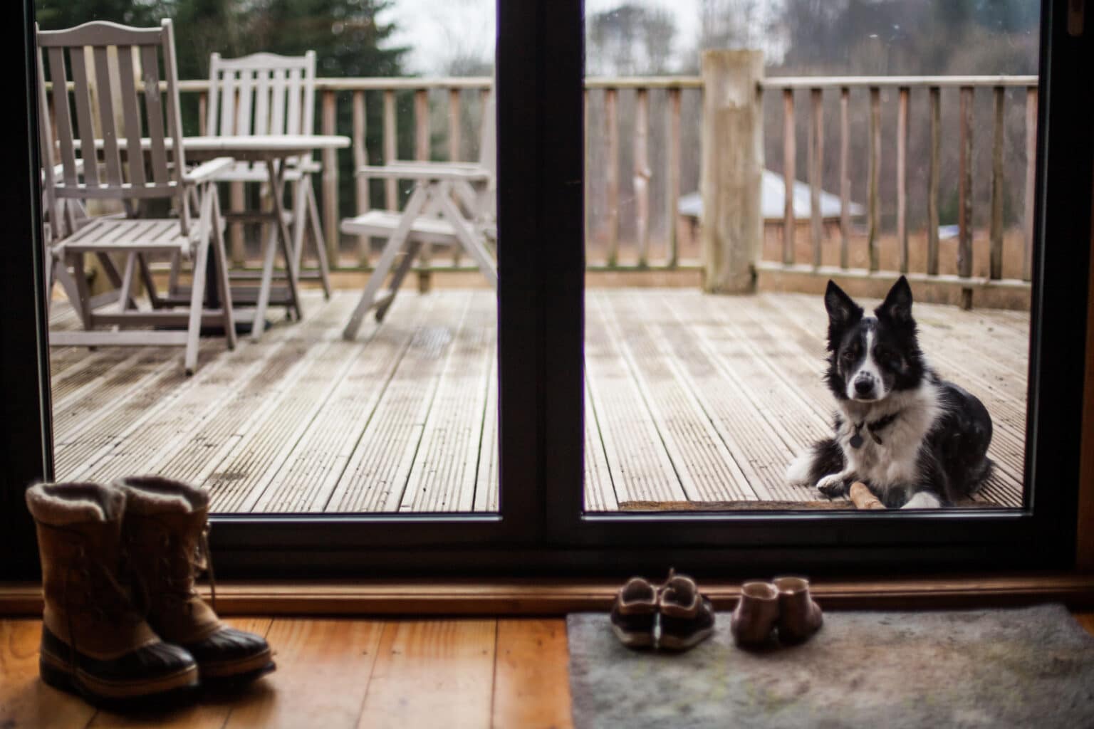 Woody's Lodge West Wales at Penlan Farm - Woody's Lodge